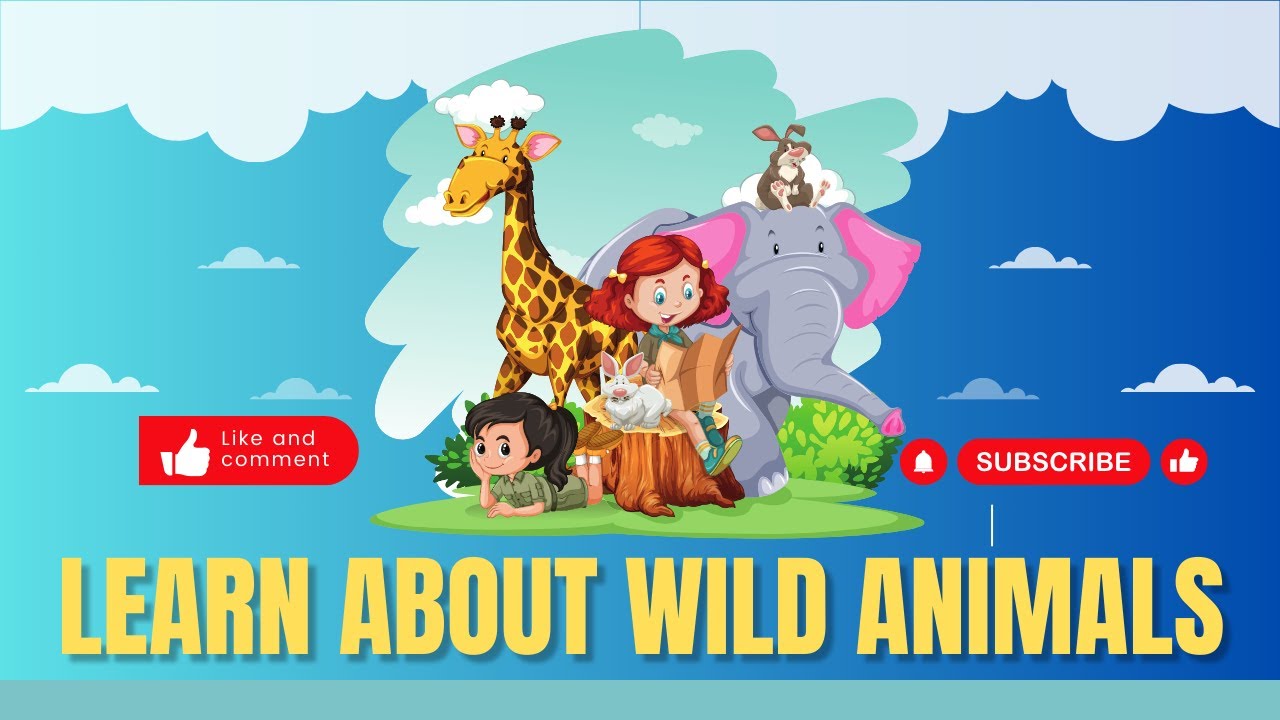 Life in the Wild: The Real World of Animals | Animals Name - YouTube