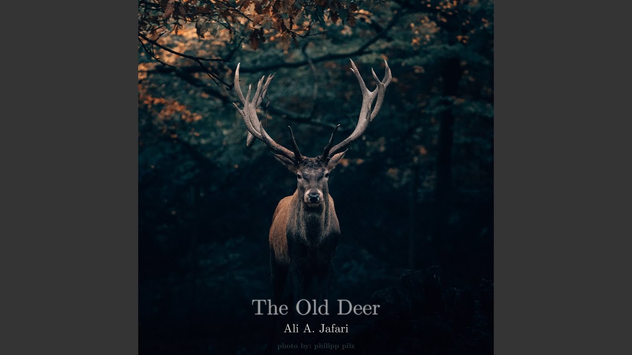 The Old Deer - YouTube Music