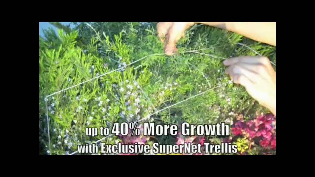 Dealzer.com - Hydroponics Super Flowering Closet 3 in 1 Grow Box - YouTube