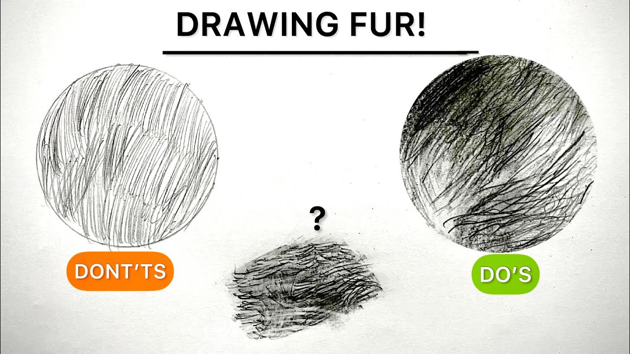 How To Draw Fur How To Draw Fur With Pencil Drawing Fur YouTube how-to-draw-fur-how-to-draw-fur-with-pencil-drawing-fur-youtube