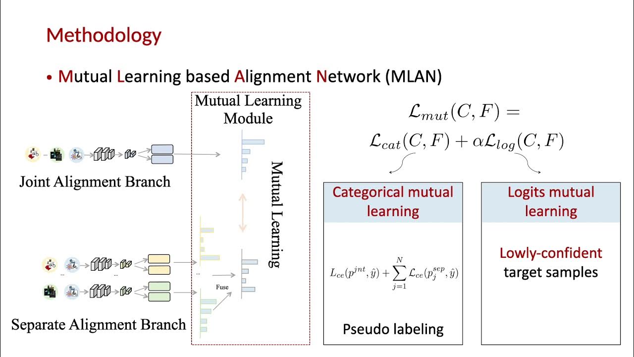 Mutual Learning of Joint and Separate Domain Alignments for Multi-Source Domain Adaptation - YouTube