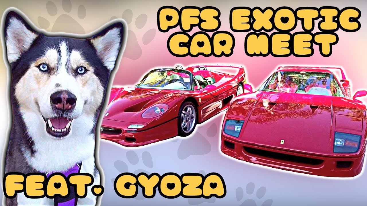 EXOTIC CAR MEET feat. GYOZA - PFS Solutions | TRUCICI - YouTube