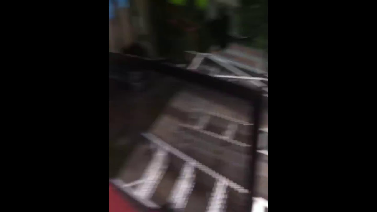 Biggest lady bug in the world!!!!!!!!!!!:0 - YouTube