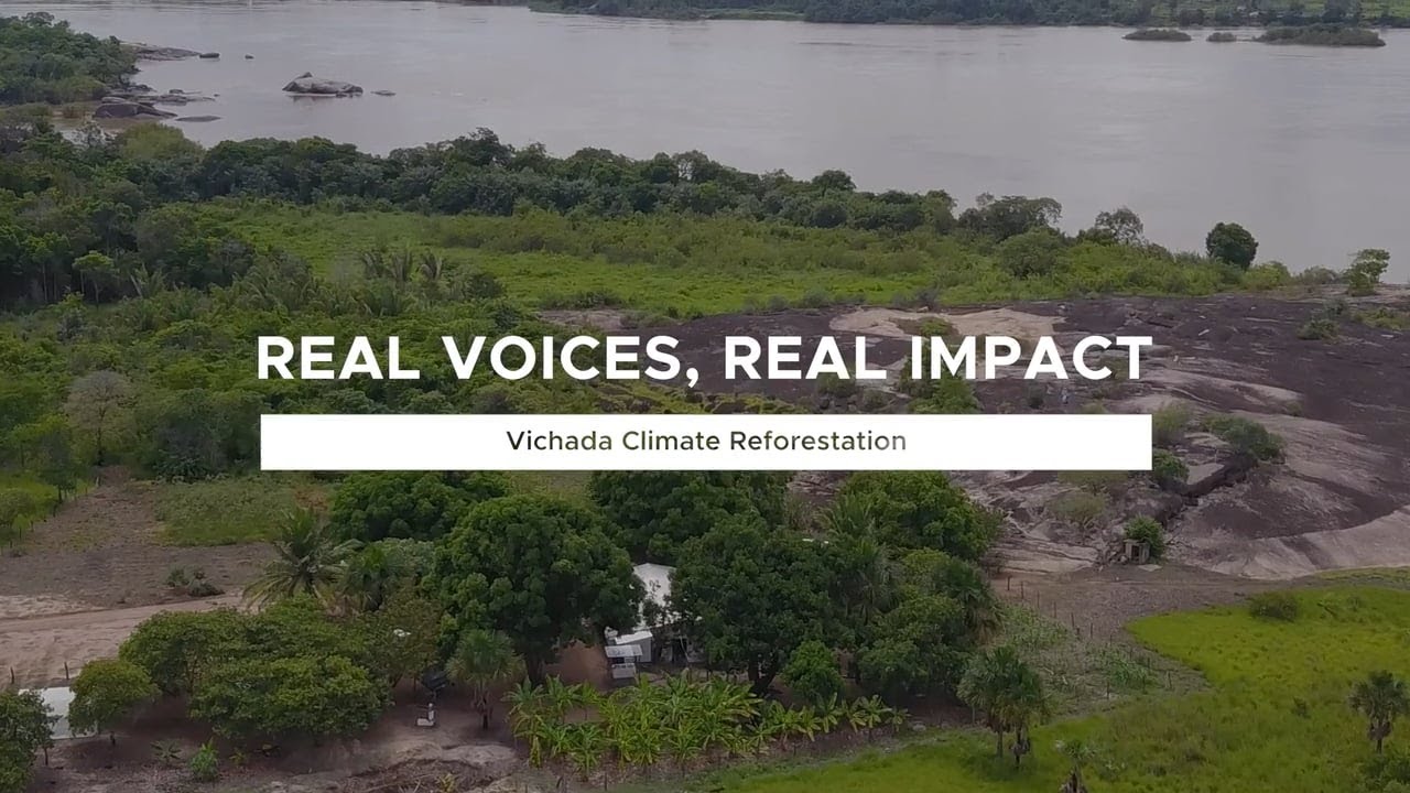 Real voices, Real impact: Camilo Gómez - YouTube