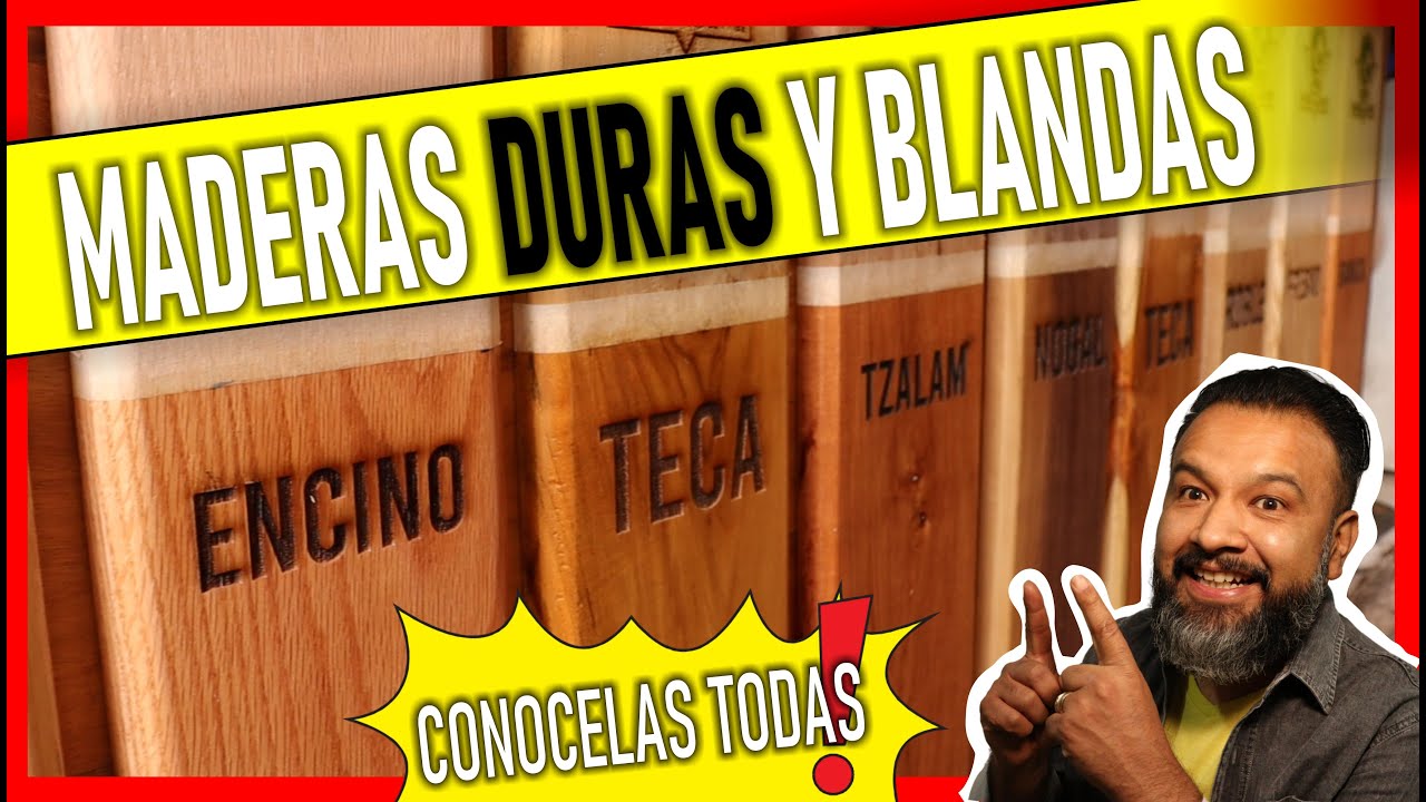 Tipos de MADERA duras y blandas 🌲 Como elegir MADERAS FINAS y sus ...