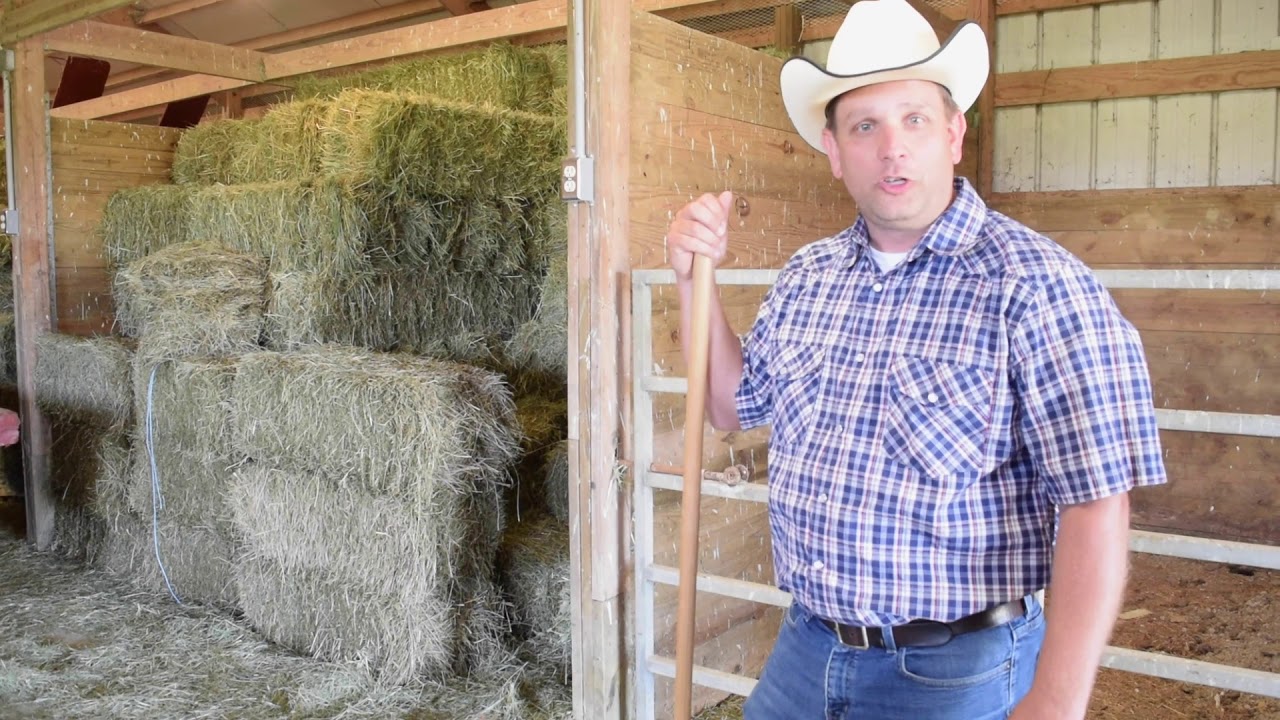 Three Rivers Farm - YouTube