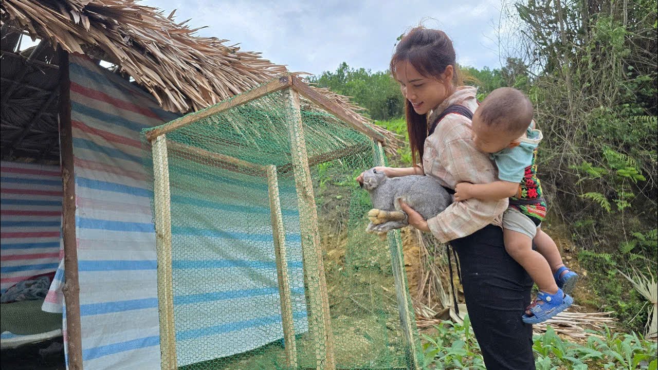 Single mother builds a new life. Builds a rabbit cage. Brings water for use. Takes care of her ...