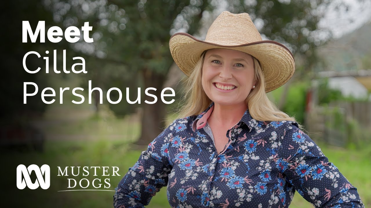 Cilla Pershouse – From spotlight of the stage to graft of grazier life | Muster Dogs | ABC ...