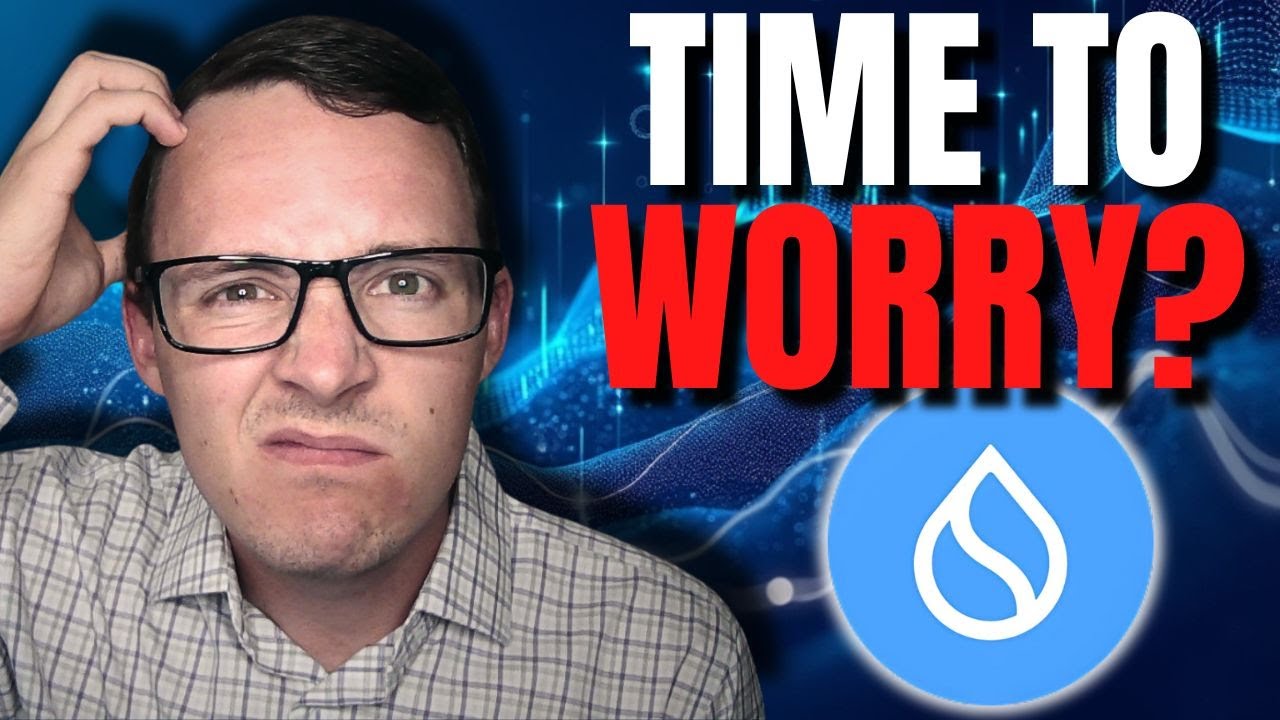 SUI HOLDERS: Should We Be Concerned About THIS? - YouTube
