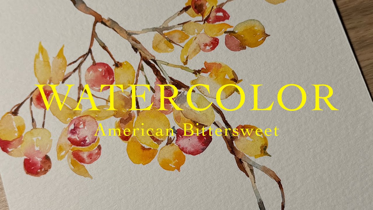 American Bittersweet Berry in Autumn Color Watercolor Study - YouTube