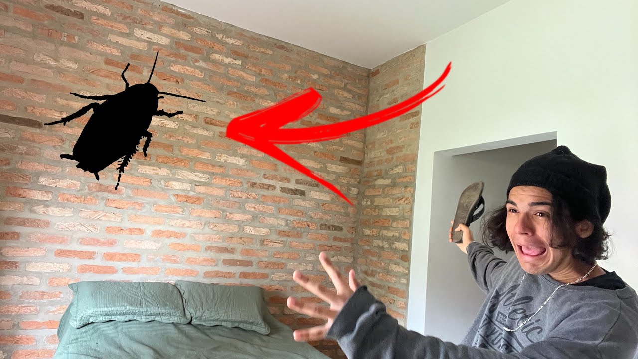 Motivos para ter medo de BARATA 🤧 - YouTube