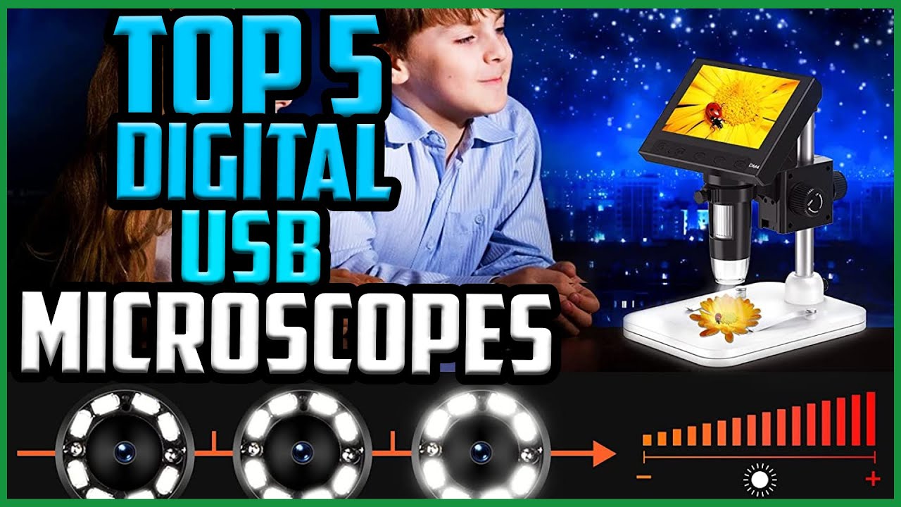 Top 5 Best Digital USB Microscopes In 2021 [Reviews & Buying Guide ...