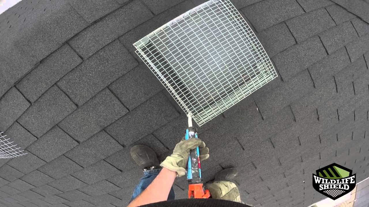 Wildlife Proofing of a Home – Wildlife Shield - YouTube