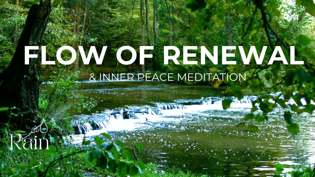 🌿 Rain for Your Soul Flow of Renewal & Inner Peace 🌊 #stressrelief # ...