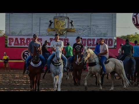 Status do vaqueiro - Tarcísio do Acordeon - No calor da vaquejada - ( Parque José Luciano 2021 )