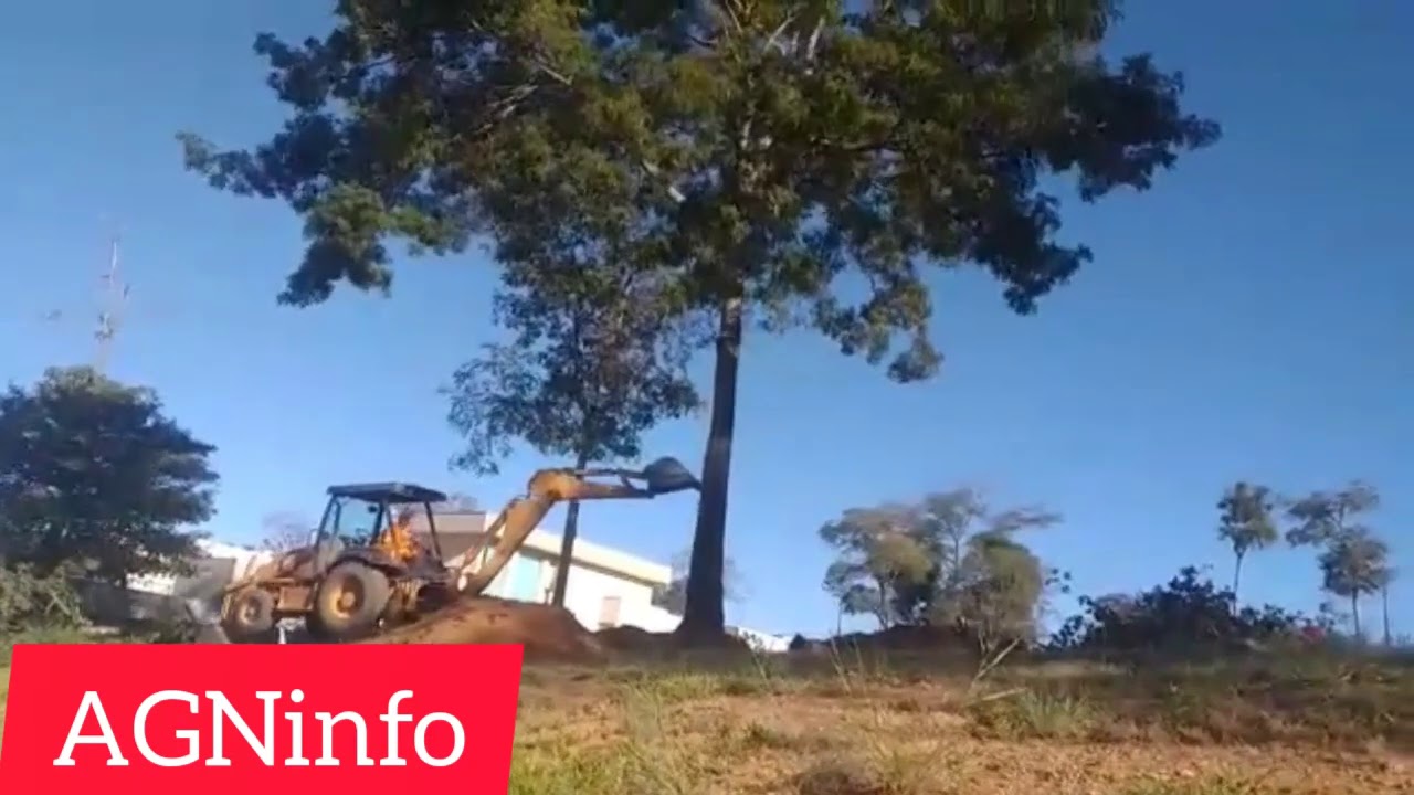 Tree Cutting Gone Wrong Tree Cutting Fail Funny Tree Cutting Fails Tree Cutting Gone Wrong Tree Cutting Fail Funny Tree Cutting Fails