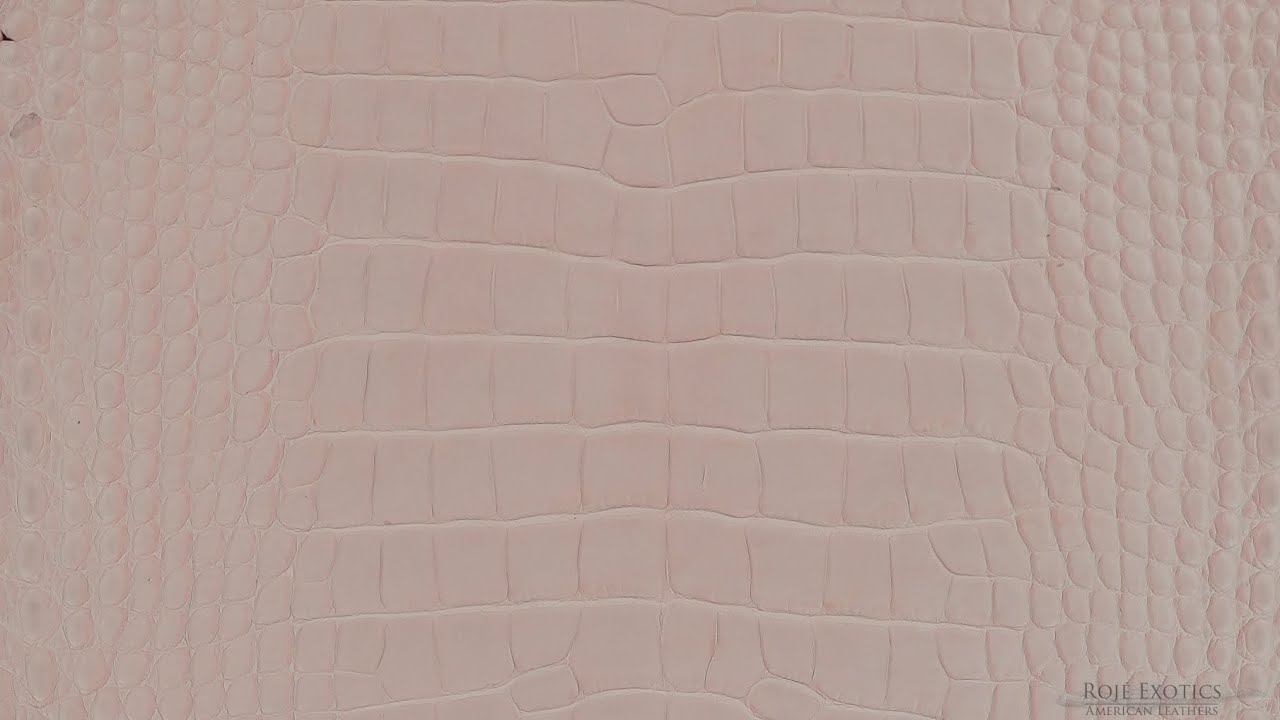 Alligator Blush Matte - YouTube