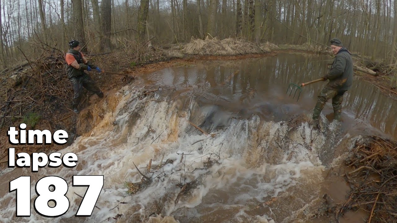 Big Dam - Manual Beaver Dam Removal No.187 - Time-Lapse Version - YouTube