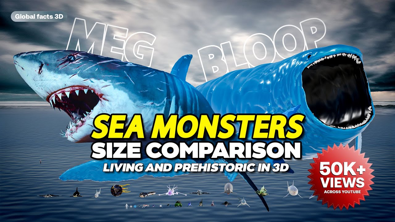 Sea Monsters Size Comparison 2023: Largest Sea Animals 3d - YouTube