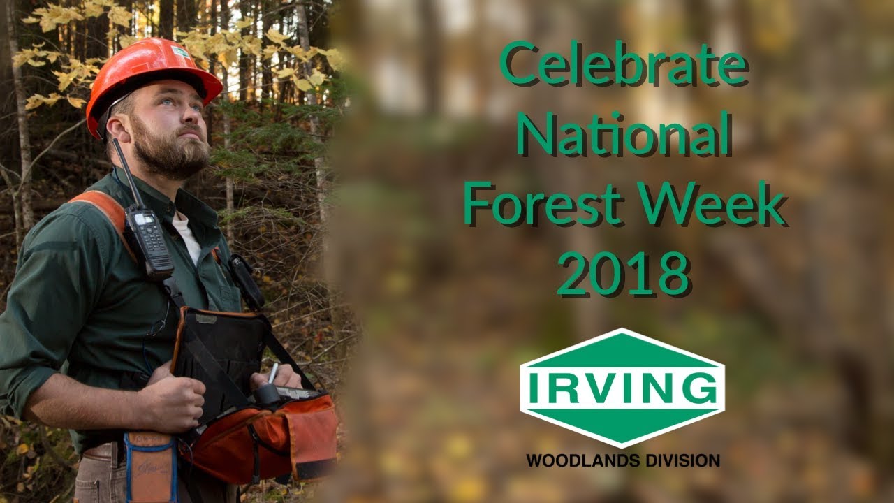 Celebrate Forest Week 2018 - YouTube