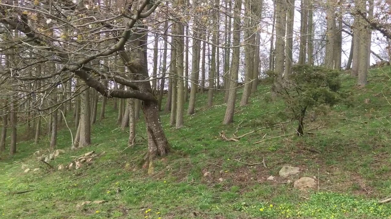 Grevie backar # 6" - YouTube