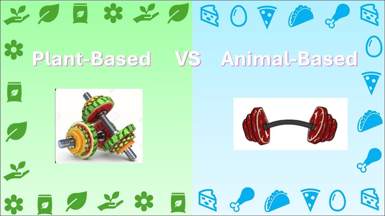 3MT - Plant-Based vs. Animal-Based Diets in Athletic - YouTube
