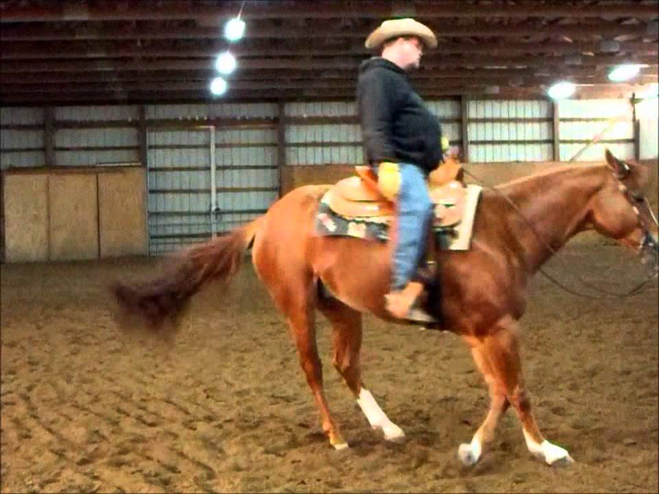 **SOLD**One Dynamic Machine AQHA All Around For Sale Western Riding ...