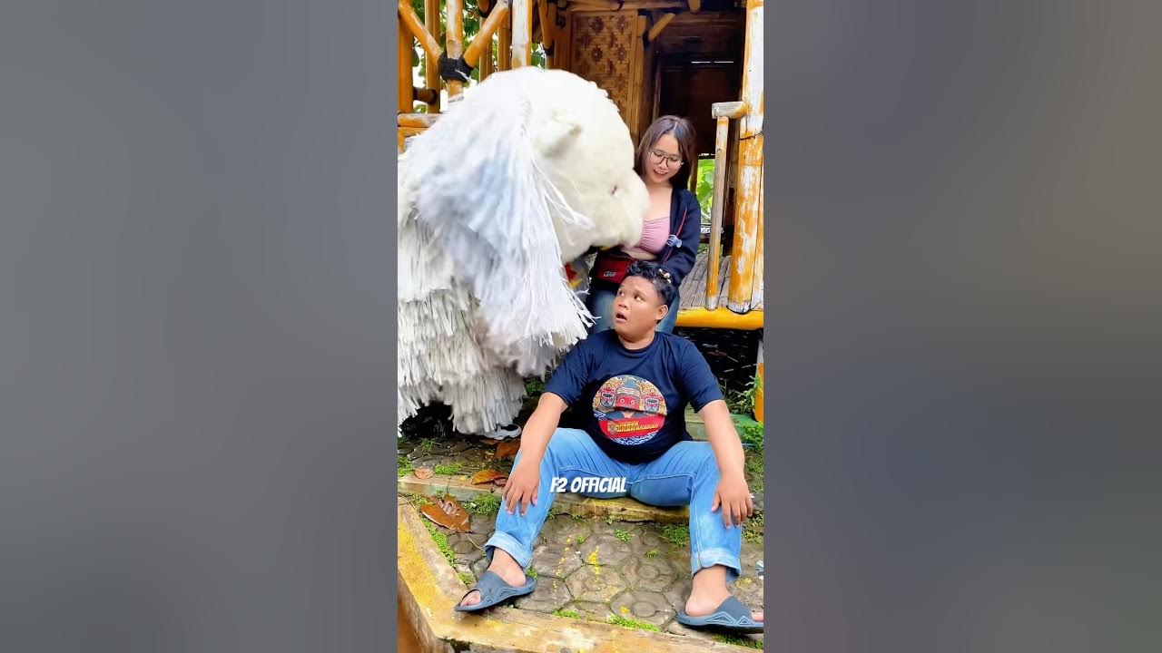 Lagi nyari kutu suaminya di gigit can macanan - YouTube