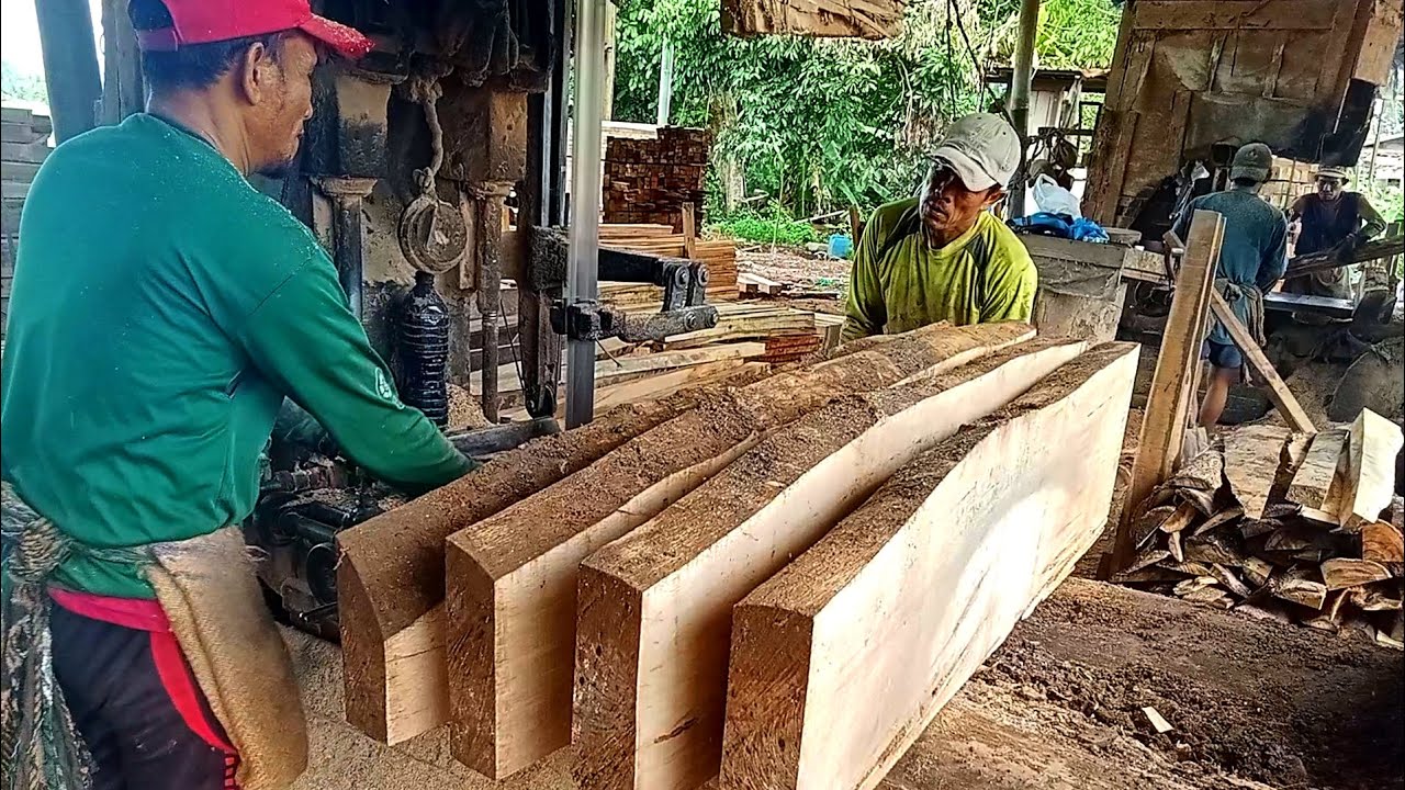 Kayu getah/karet yang sudah kering - YouTube