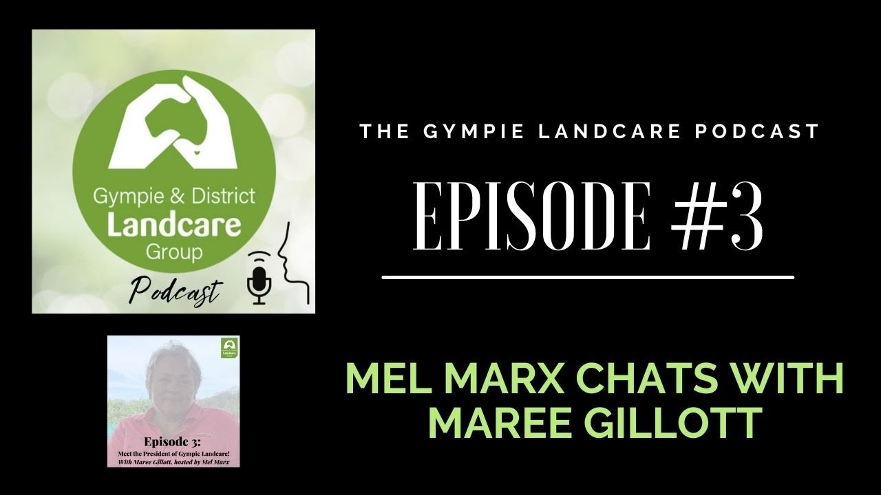 Episode #3 - Mel Marx chats with Maree Gillott - YouTube