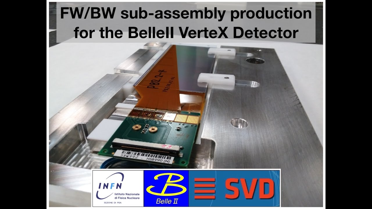 Belle II experiment - Silicon Vertex Detector Forward and Backward ...