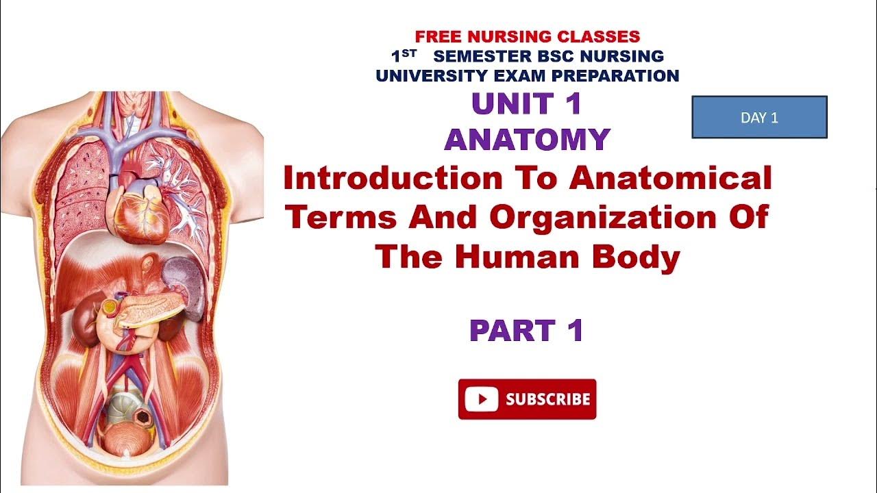 Introduction | Anatomy | Unit 1 | Part 1 - YouTube Introduction | Anatomy | Unit 1 | Part 1 - YouTube