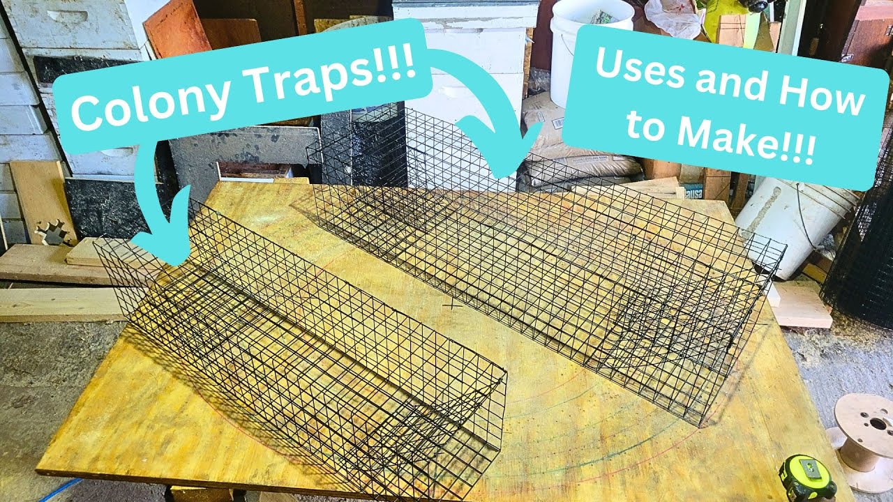 Muskrat Colony Traps - Uses and Making - In The Fur Shed - YouTube