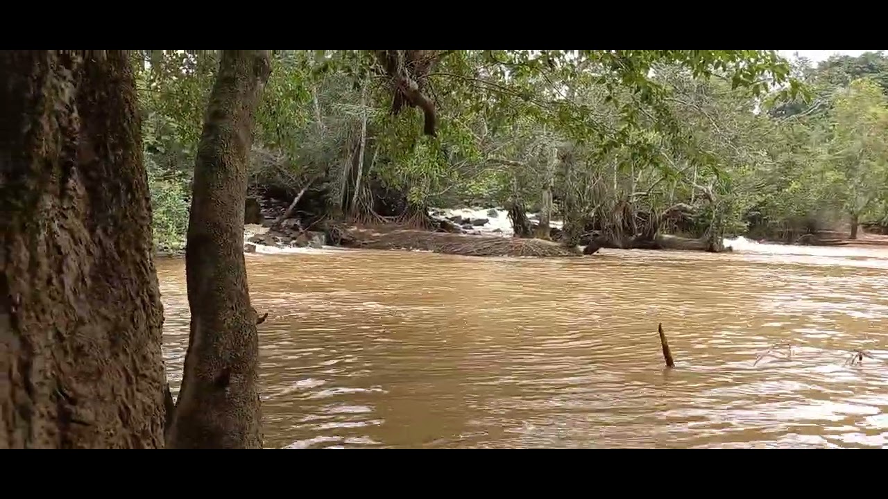 Navigation sur la Loufoulakari vers l'ile de Boueta Mbongo - YouTube