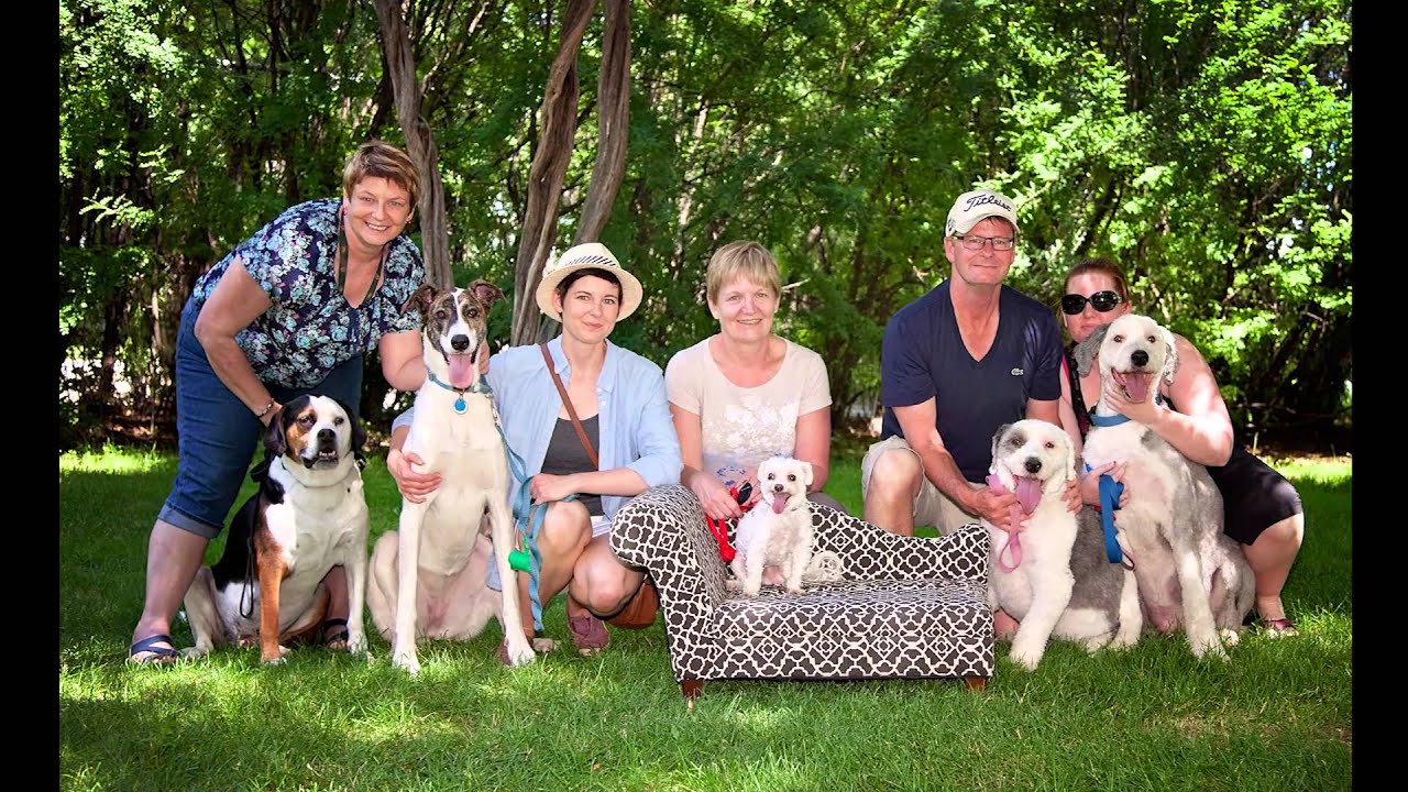 Remembering George the Bully Beagle - YouTube