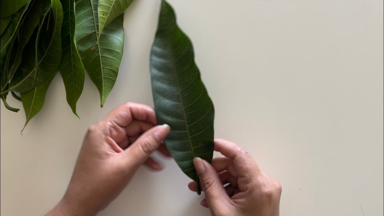 How to Make a Beautiful Mango Leaves Garland | Easy DIY Decoration ...