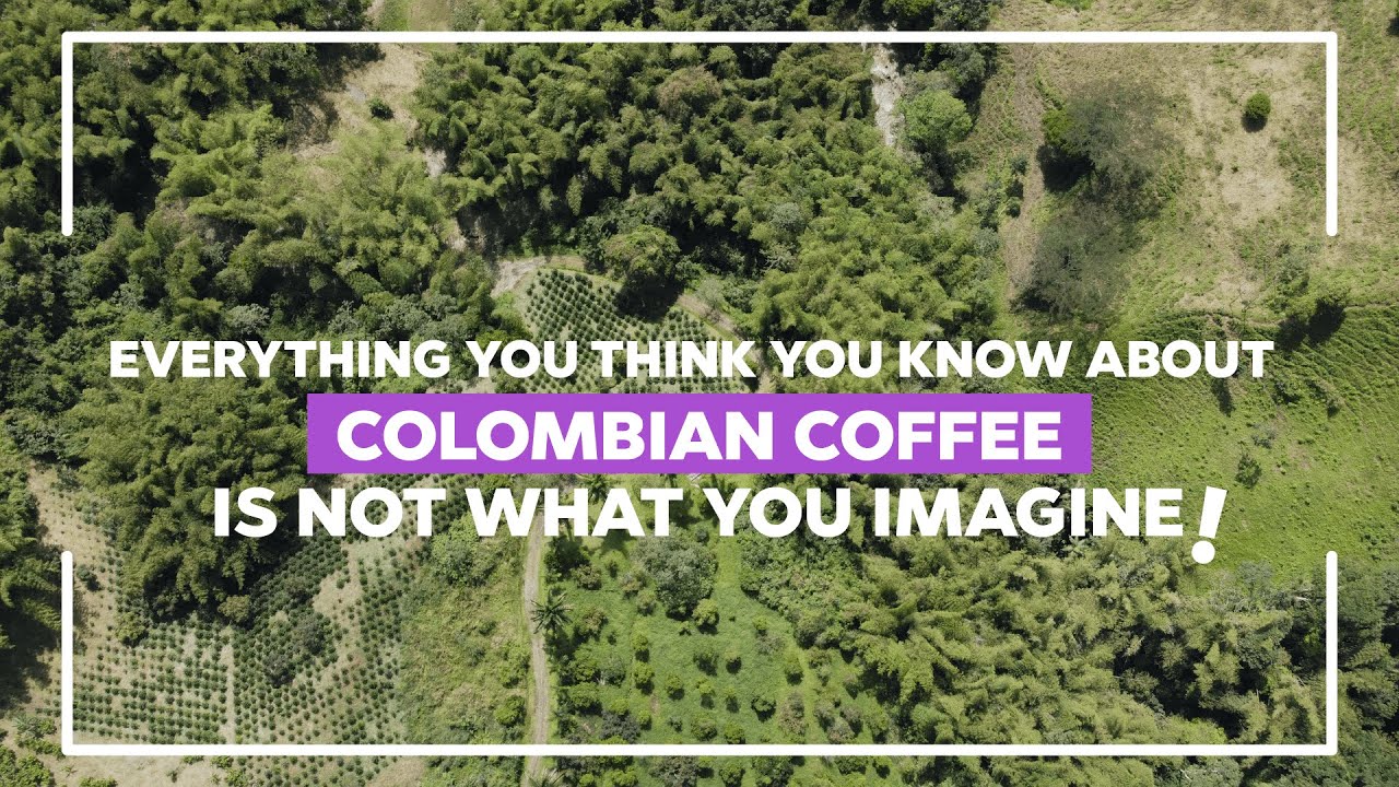 THIS IS FOREST COFFEE | 🤩☕🌲 - YouTube