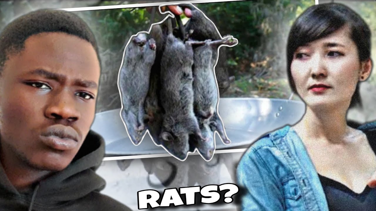 Fried Rat in simple recipe with mango sauce in my village #ratcooking # ...