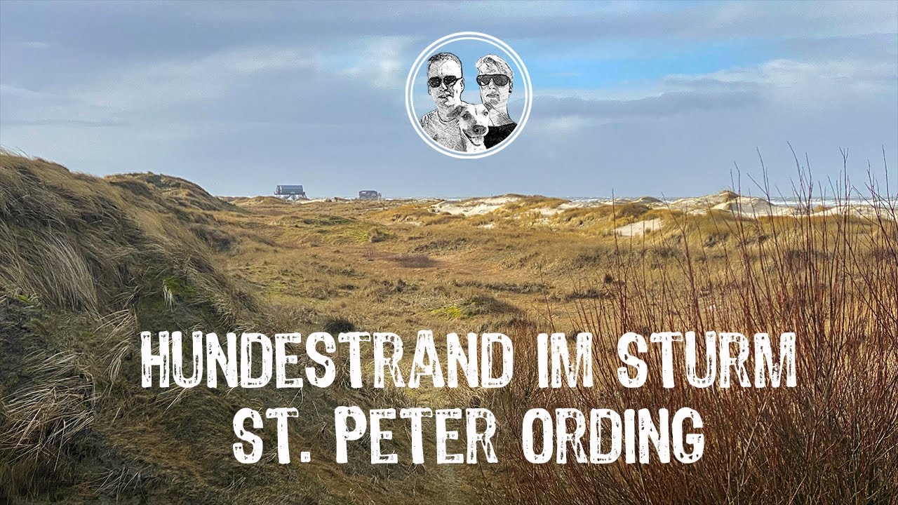 St Peter Ording Hundestrand Karte
