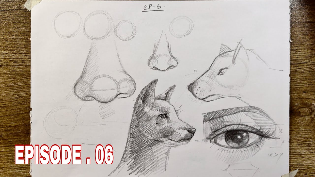 Drawing class for beginners episode 06 - YouTube