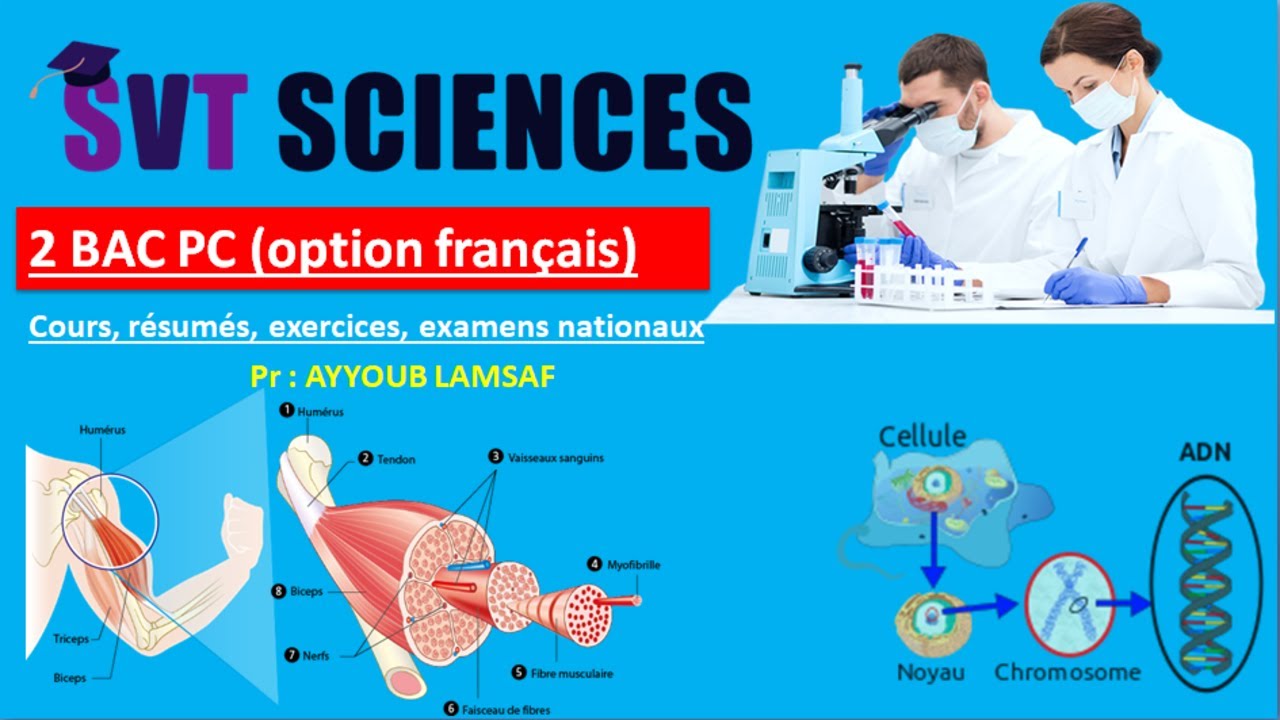 Cours SVT 2 BAC PC option français BIOF (الدروس لي غنقراو هاد العام ...