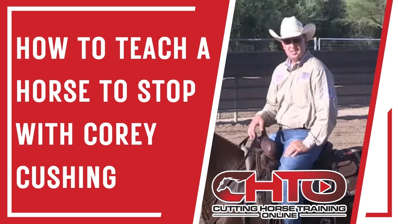 How To Teach A Horse To Stop with Corey Cushing - YouTube