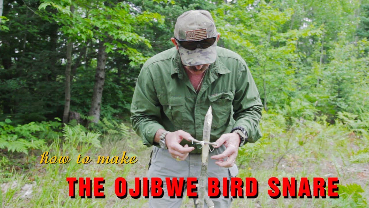 How to Make an Ojibwe Bird Snare - YouTube