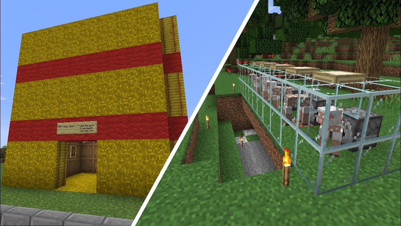 Shop and Wool Farm | Infinity SMP Ep2 - YouTube