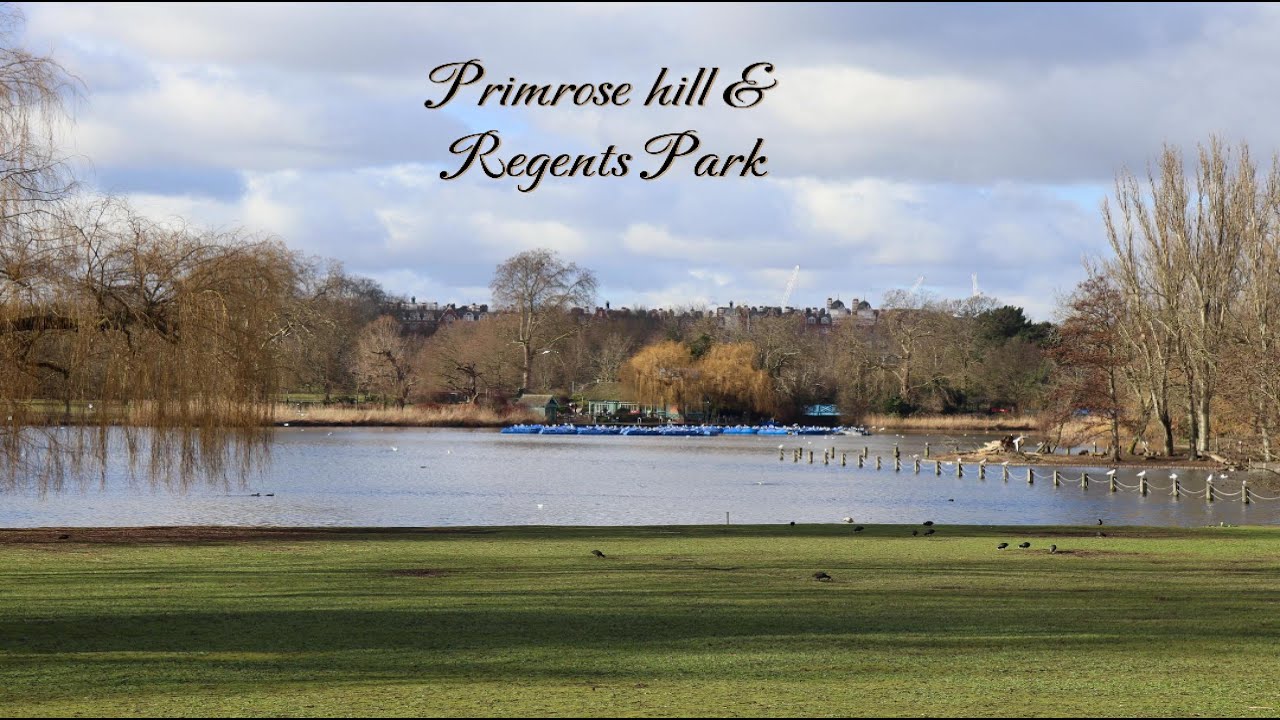 Primrose Hill & Regents Park, London Winter Walks - YouTube