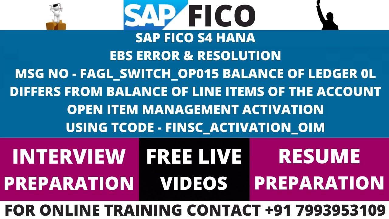 SAP S4 HANA EBS ERROR, ERROR : (F5 133) THERE ARE NO OPEN ITEMS MANAGED ...