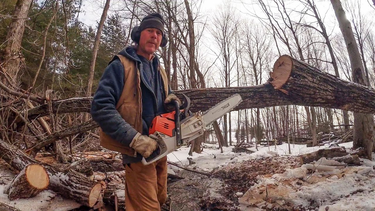 the creek, cutting one of the last fallen trees out of it - YouTube