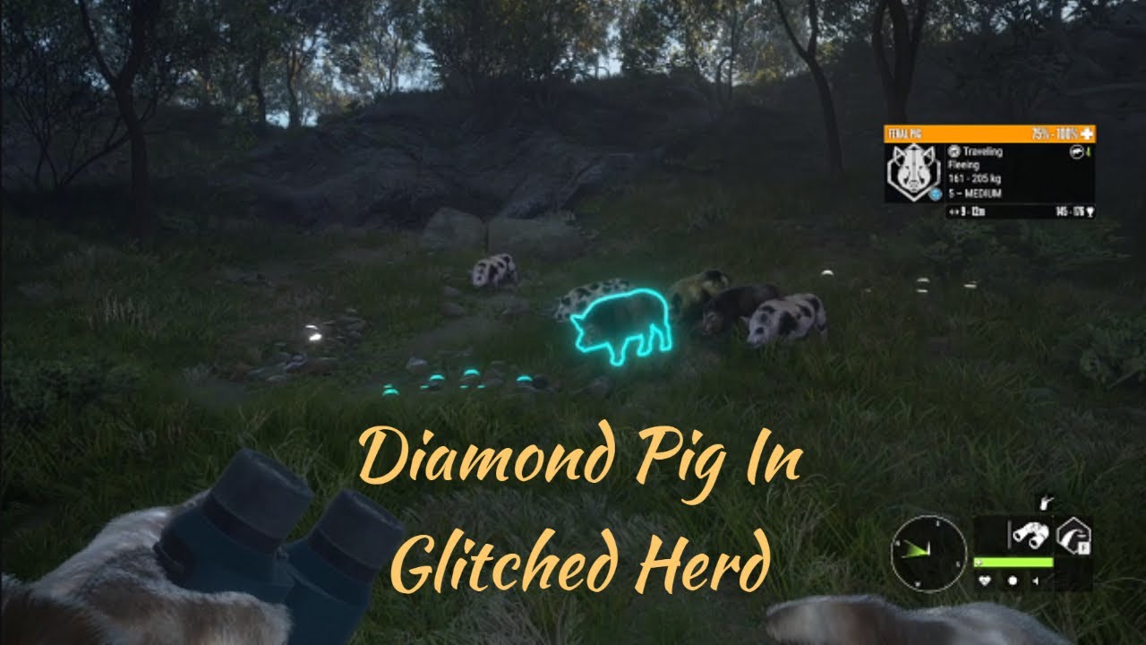 HCOTW: Huntin' with The Crew Pt 10 - YouTube