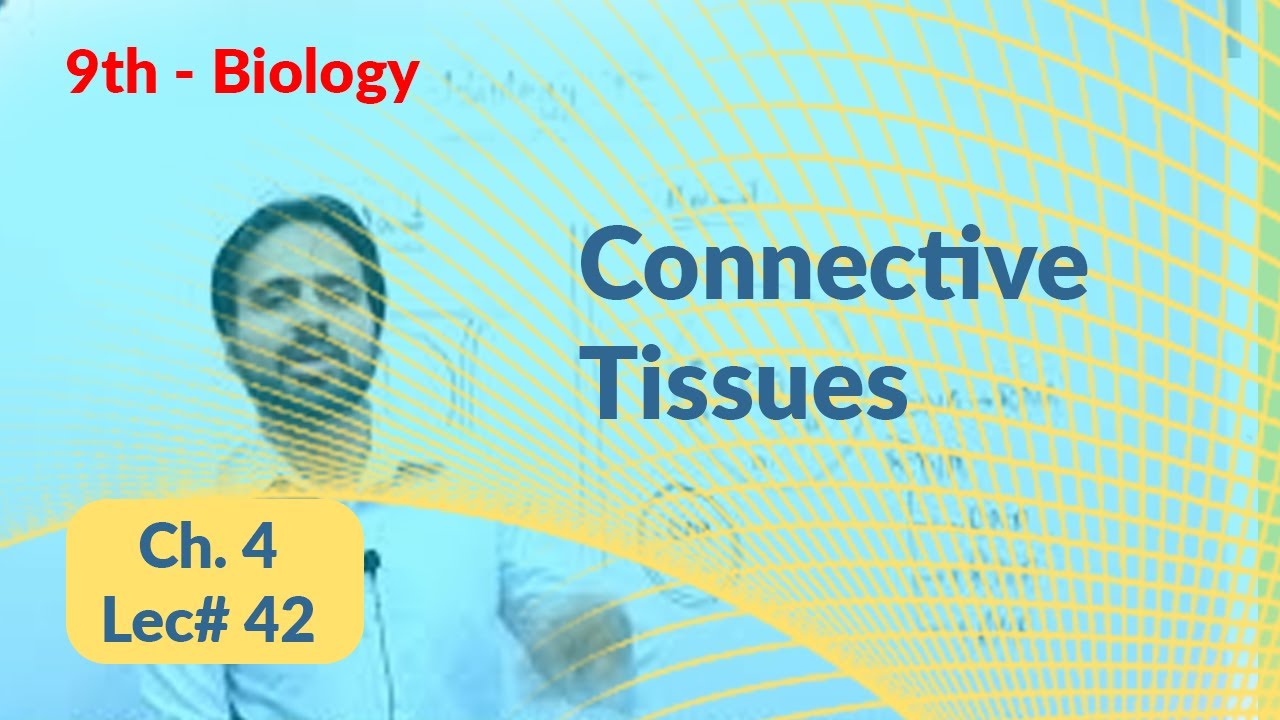 9th Biology Ch 4 Connective Tissues - 9th class Biology Ch 4 Connective ...