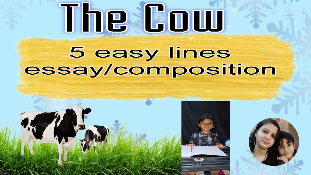 the Cow 5 easy lines essay writing #essay #essaywriting #cow # ...
